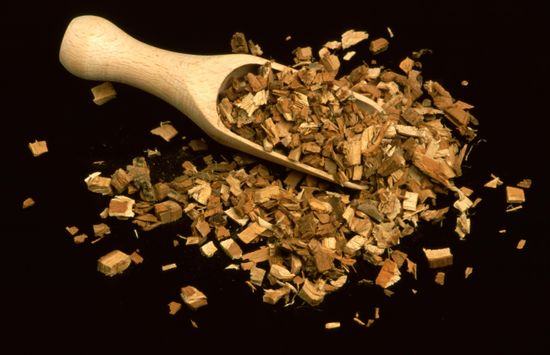 Medicinal Plant Dried Elm Ulmus Bark Editorial Stock Photo - Stock ...