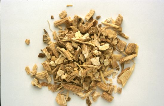 Soap Root Saponaria Officinalis Soapwort Used Editorial Stock Photo ...