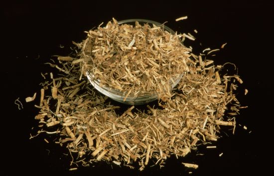 Natural Remedy Dried Couch Grass Elymus Editorial Stock Photo - Stock ...