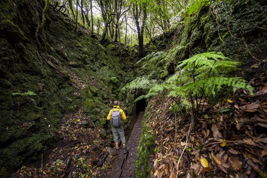 Hiker On Hiking Trail Entrance Tunnel Editorial Stock Photo - Stock ...