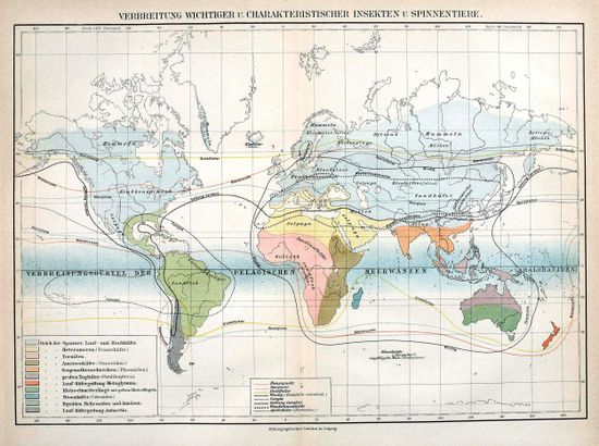 Insects Map Distribution Important Characteristic Insects Editorial ...