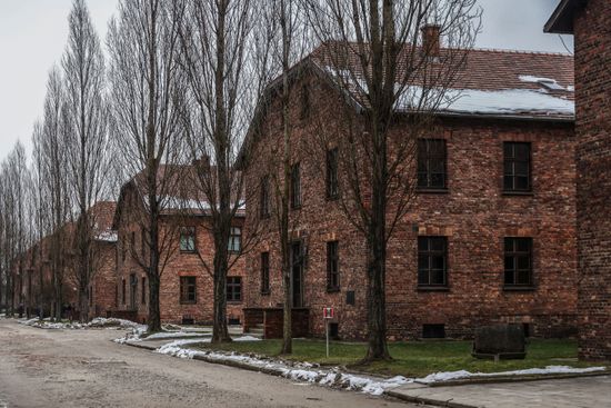 Blocks Former Nazi German Auschwitz Concentration Editorial Stock Photo ...
