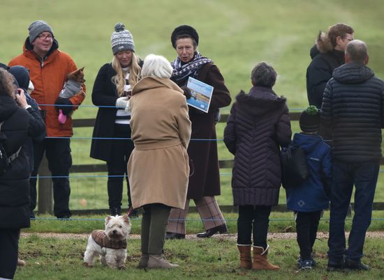 Princess Anne Princess Royal Holds Norfolk Editorial Stock Photo ...