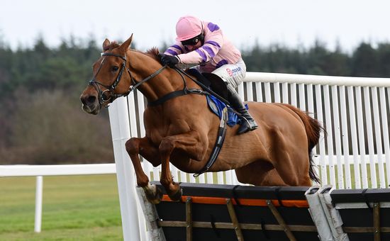 Race Winner King Ryhope Ridden By Editorial Stock Photo - Stock Image ...
