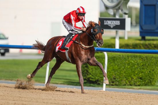 Go Soldier Go Usa Ridden By Editorial Stock Photo - Stock Image ...