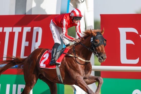 Go Soldier Go Usa Ridden By Editorial Stock Photo - Stock Image ...