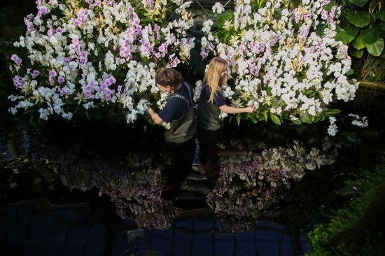 Kew Gardens Florist Charles Hunt L Editorial Stock Photo - Stock Image ...