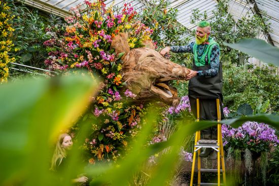 Henck Rolling Inhouse Florist Anja Seymour Editorial Stock Photo ...