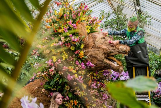 Henck Rolling Inhouse Florist Anja Seymour Editorial Stock Photo ...