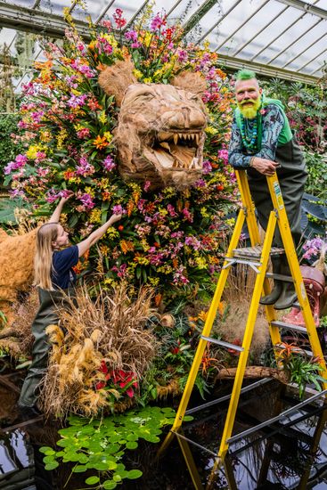 Henck Rolling Inhouse Florist Anja Seymour Editorial Stock Photo ...