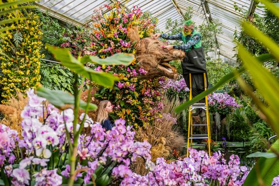 Henck Rolling Inhouse Florist Anja Seymour Editorial Stock Photo ...