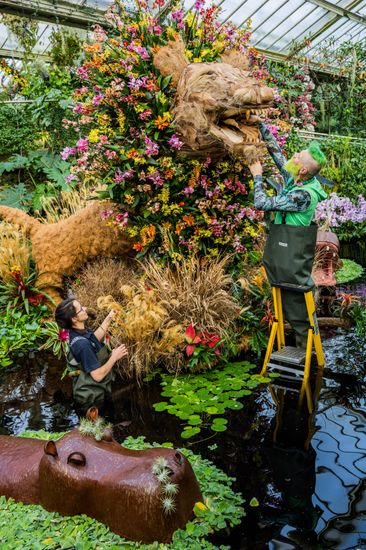 Henck Rolling Inhouse Florist Other Kew Editorial Stock Photo - Stock ...