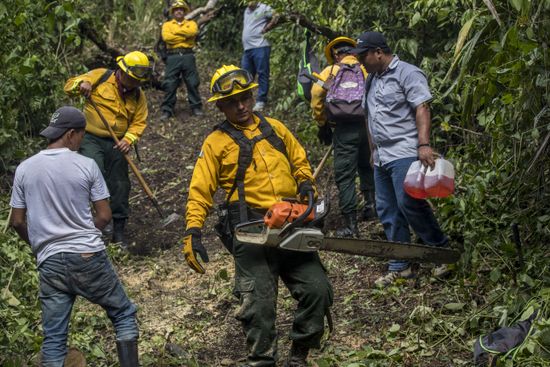 Members Fire Brigade National Council Protected Editorial Stock Photo ...