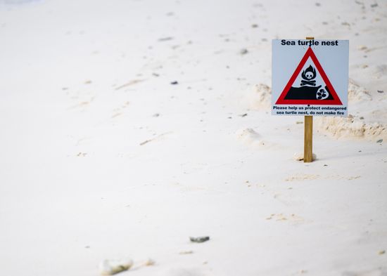 Turtle Safety Sign During Visit Country Editorial Stock Photo - Stock ...