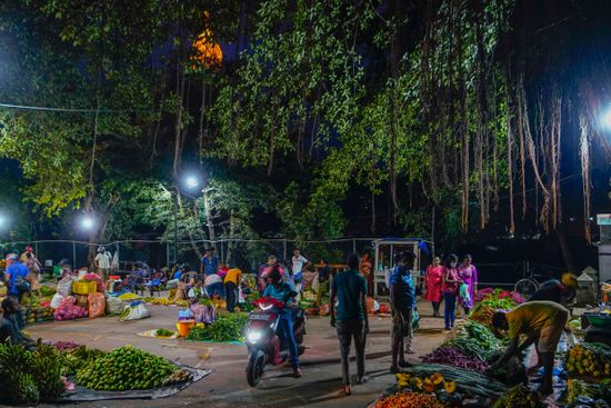 Night Vegetable Market Colombo Sri Lanka Editorial Stock Photo - Stock ...