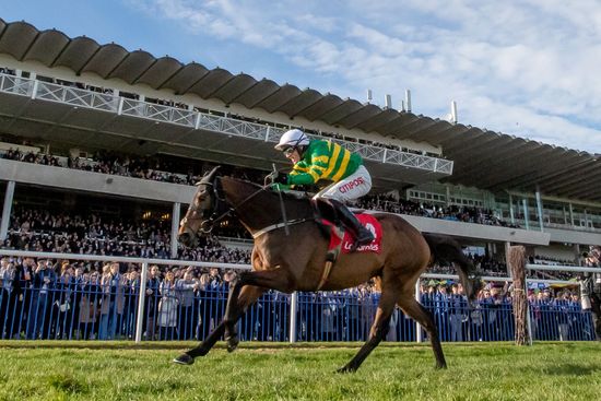 Danny Mullins On Gentleman Du Mee Editorial Stock Photo - Stock Image ...