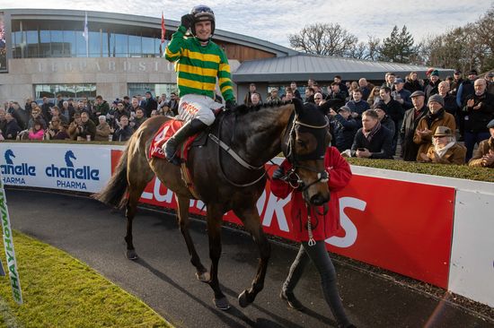 Danny Mullins On Gentleman Du Mee Editorial Stock Photo - Stock Image ...