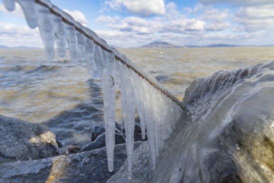 Icicles Hang Off Reed Stem Encapsulated Editorial Stock Photo - Stock ...