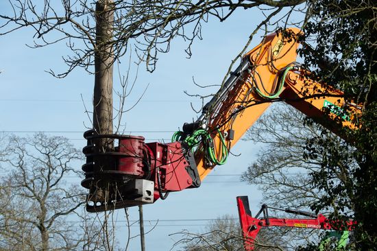 Tree Grabber Rips Off Tree Limbs Editorial Stock Photo - Stock Image ...