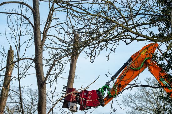 Tree Grabber Rips Off Tree Limbs Editorial Stock Photo - Stock Image ...