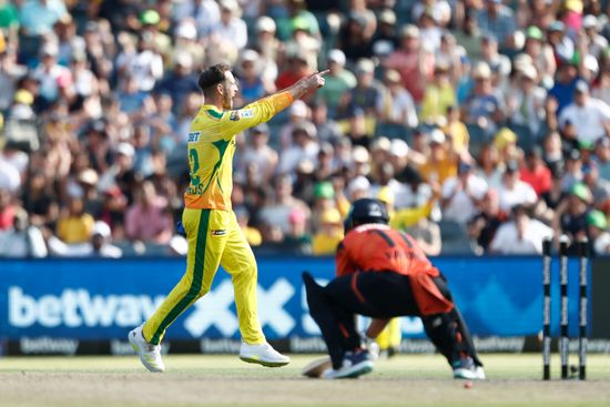 Kyle Simmonds Joburg Super Kings Celebrates Editorial Stock Photo ...