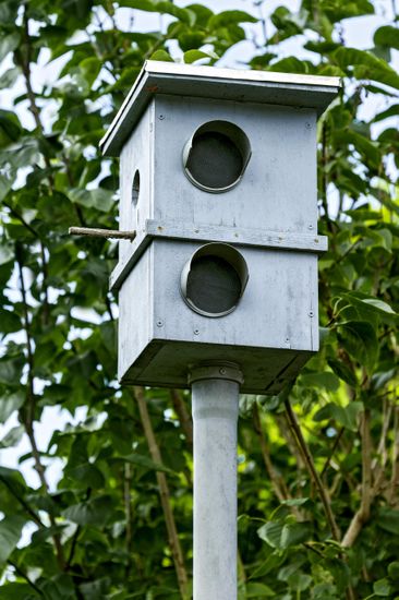 Dummy Speed Camera Deterrent Bird House Editorial Stock Photo - Stock ...