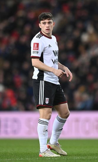Daniel James Fulham Editorial Stock Photo - Stock Image | Shutterstock