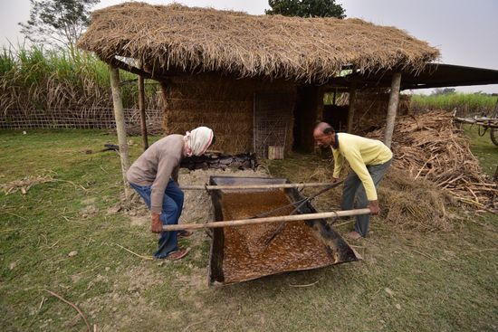 Farmers Make Jaggery After Harvesting Sugarcane Editorial Stock Photo ...