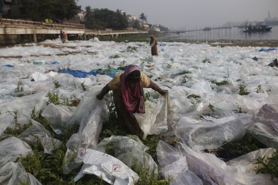 Woman Works She Dries Polythene Plastic Editorial Stock Photo - Stock ...