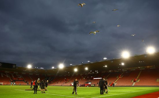 Seagulls Fly Inside Stadium Ground Staff Editorial Stock Photo - Stock ...