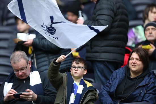 Young Tottenham Hotspur Fan Waving Flag Editorial Stock Photo - Stock ...