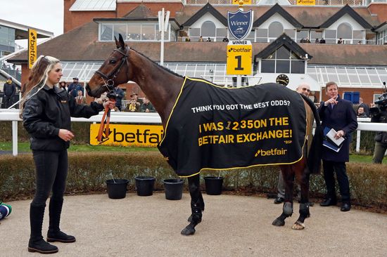 Aucunrisque Winner Betfair Hurdle Newbury Editorial Stock Photo - Stock ...