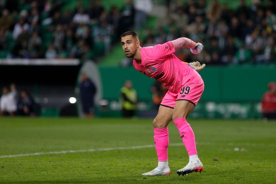 Diogo Costa Goalkeeper Fc Porto Action Editorial Stock Photo - Stock ...