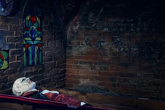 Vampire Sleeps Coffin Bed Room His Editorial Stock Photo - Stock Image ...