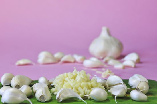 Still Life Garlic Germany Editorial Stock Photo - Stock Image ...