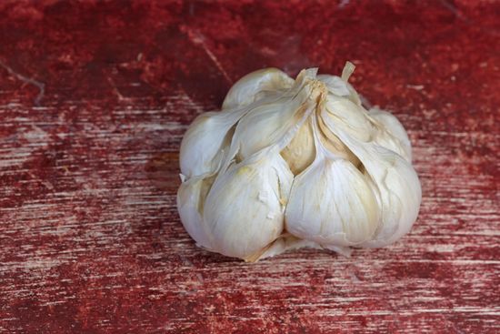 Still Life Garlic Germany Editorial Stock Photo - Stock Image ...