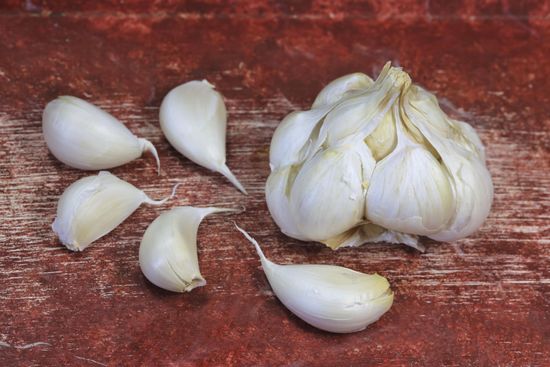 Still Life Garlic Germany Editorial Stock Photo - Stock Image ...