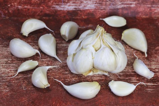 Still Life Garlic Germany Editorial Stock Photo - Stock Image ...