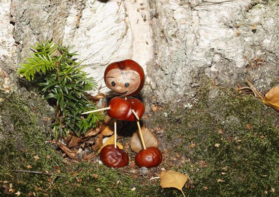 Cute Chestnut Figure Standing Front Birch Editorial Stock Photo - Stock ...