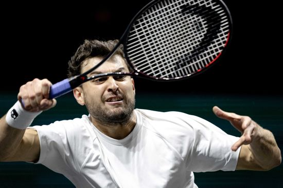Russian Tennis Player Aslan Karatsev Action Editorial Stock Photo - Stock Image | Shutterstock