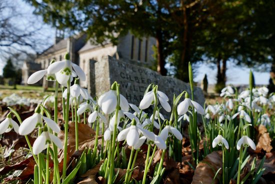 Snowdrops Sunshine 2000 Year Old Church Editorial Stock Photo - Stock ...