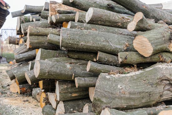 Logs Uncut Wood Seen Piled People Editorial Stock Photo - Stock Image ...