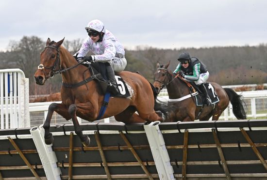 Springwell Bay Jonjo Oneill Takes Last Editorial Stock Photo - Stock ...