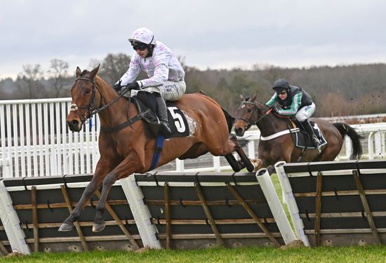 Springwell Bay Jonjo Oneill Takes Last Editorial Stock Photo - Stock ...