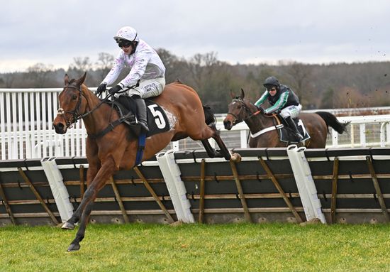 Springwell Bay Jonjo Oneill Takes Last Editorial Stock Photo - Stock ...