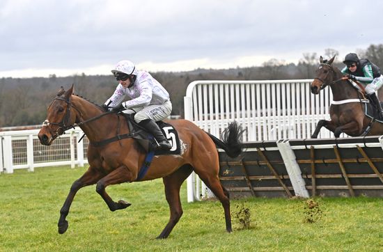 Springwell Bay Jonjo Oneill Takes Last Editorial Stock Photo - Stock ...