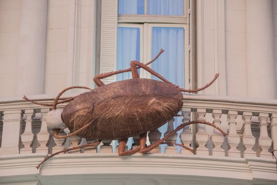 Six Giant Cockroaches Heads Human Beings Editorial Stock Photo - Stock ...