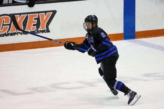Bentley Falcons Defenseman Seth Bernarddocker 6 Editorial Stock Photo ...