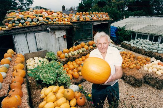 Barbara Upton Some Pumpkins Squash Her Editorial Stock Photo - Stock ...