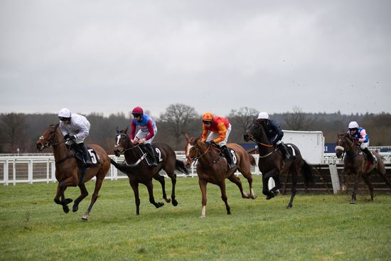 Horse Springwell Bay No 5 Ridden Editorial Stock Photo - Stock Image ...